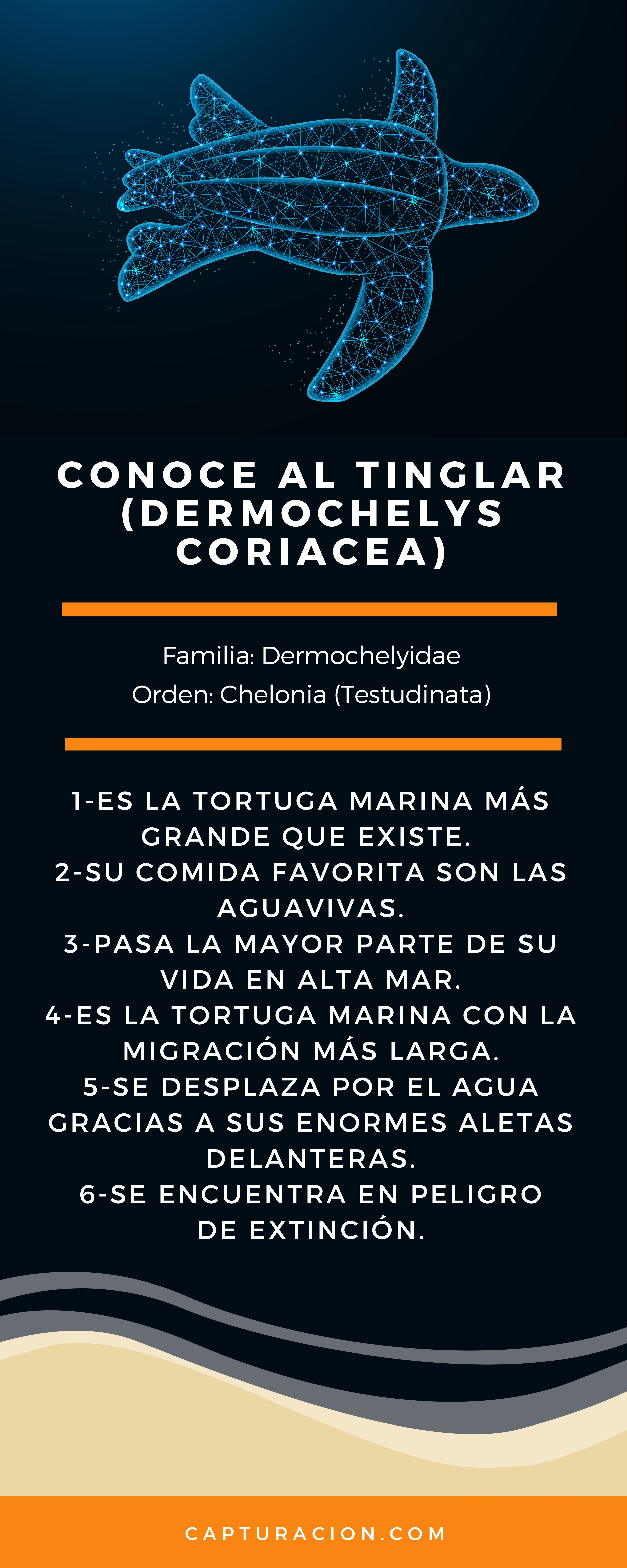 Una experiencia espectacular documentando tinglares recién nacidos ...